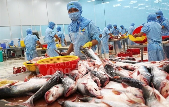 Vietnam’s tra fish exports exceed 2 billion USD for first time ...