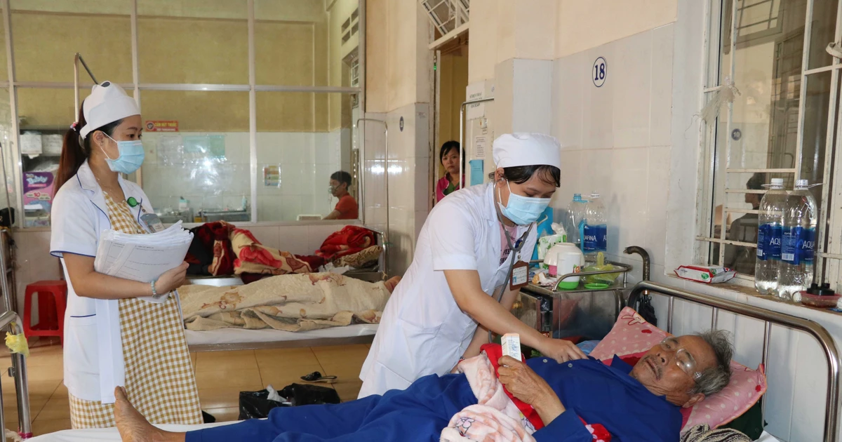 Dengue fever spreads across country | Vietnam+ (VietnamPlus)