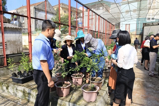 Training course enhances capacity of plant protection officers in ...