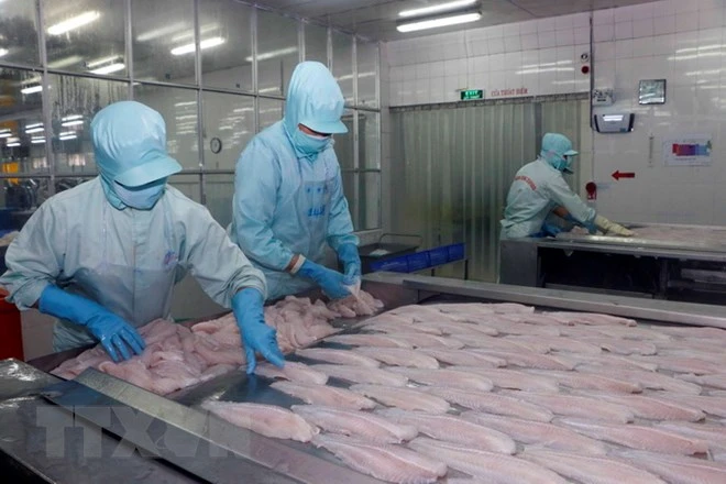 Ministry urges US to study Vietnamese tra fish market | Vietnam+ ...