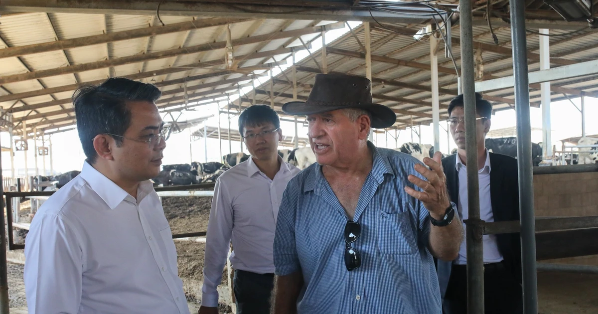Vietnam learns about collective economy models in Israel | Vietnam+ ...