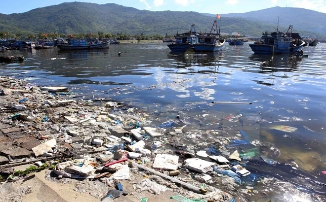 Coastal Da Nang city faces severe pollution problems | Vietnam+ ...
