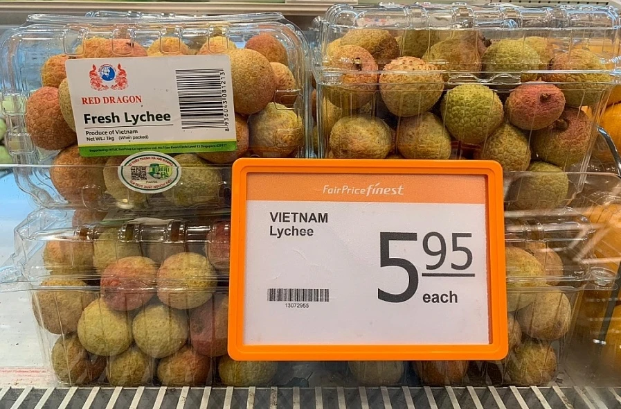 Vietnamese lychees increase presence in Singapore | Vietnam+ (VietnamPlus)