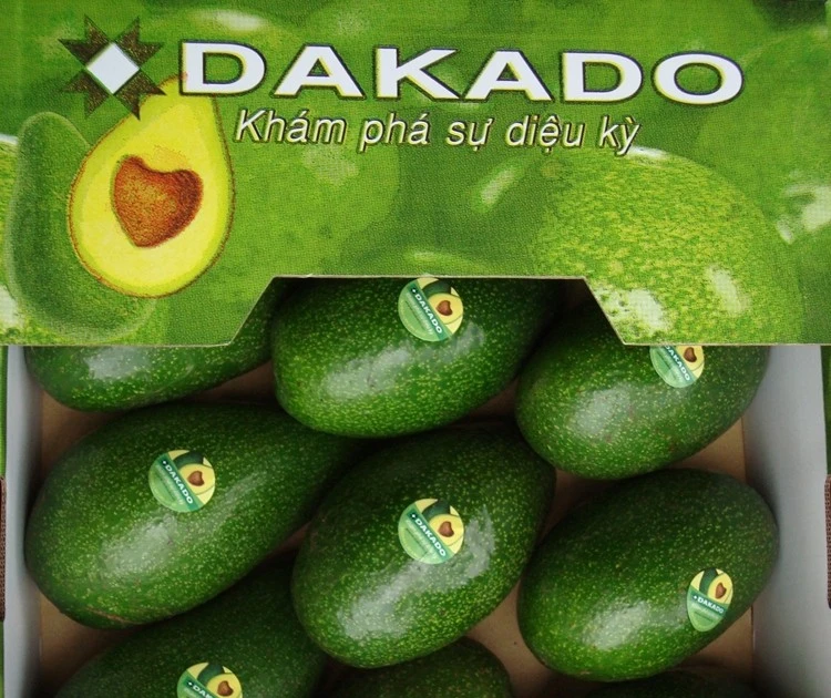 Dak Lak avocado targets world market | Vietnam+ (VietnamPlus)