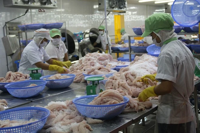 Doors still open for Vietnamese tra fish in US: VASEP | Vietnam+ ...