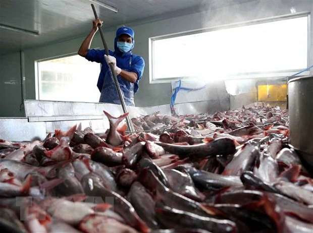 US becomes top importer of Vietnamese tra fish in February | Vietnam+ ...