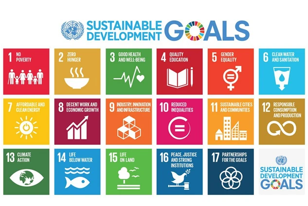 Vietnam’s report on SDG implementation announced | Vietnam+ (VietnamPlus)
