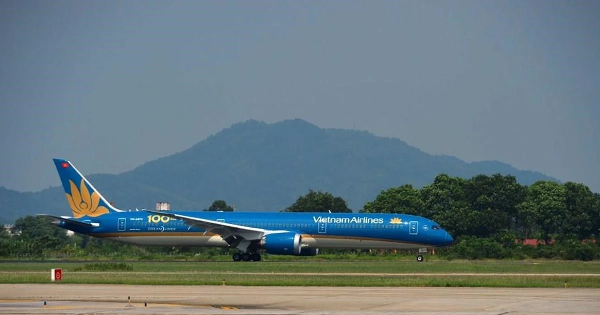 Vietnam Airlines reports flight incident | Vietnam+ (VietnamPlus)