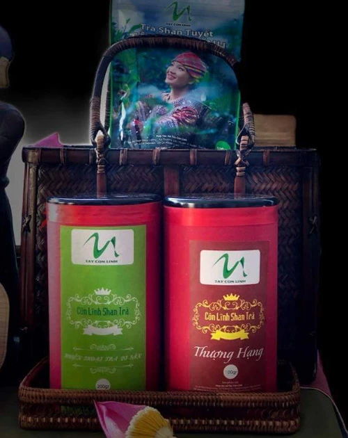 Vietnamese tea wins “Teas of the World” awards | Vietnam+ (VietnamPlus)
