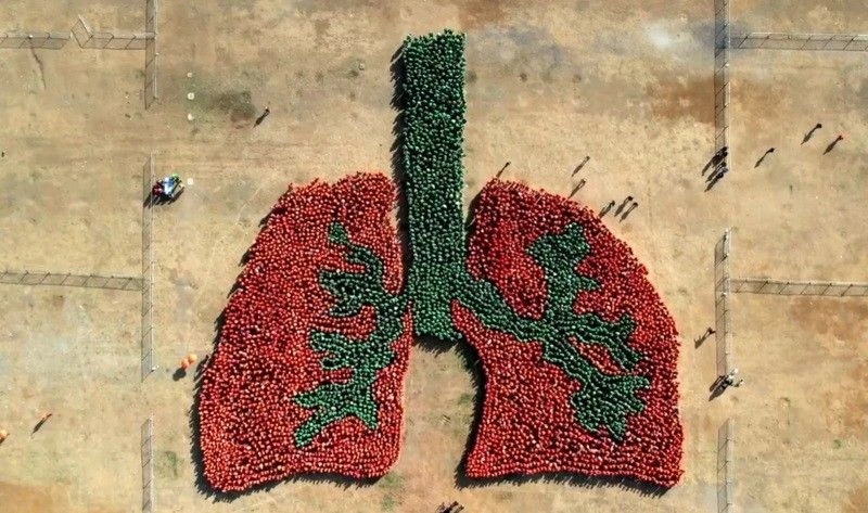 Philippines sets Guinness record for largest human image of an organ ...