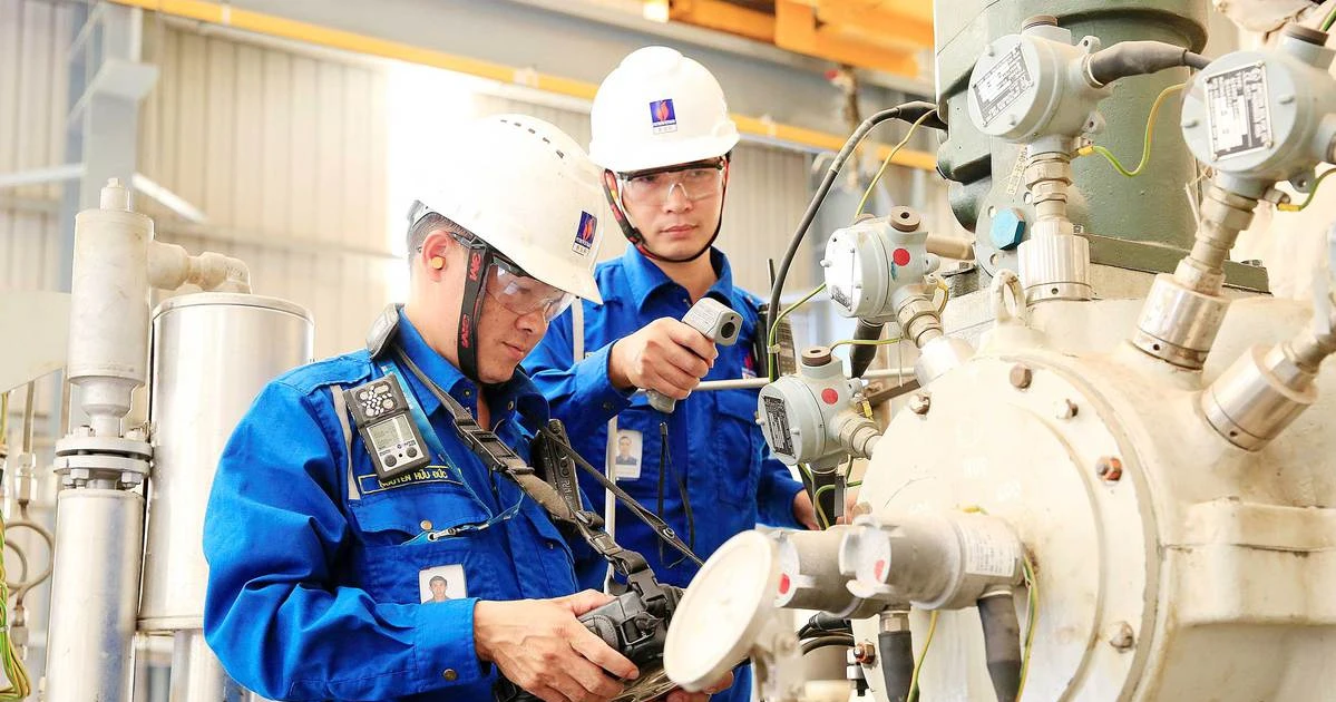 Digital workforce platform launched | Vietnam+ (VietnamPlus)