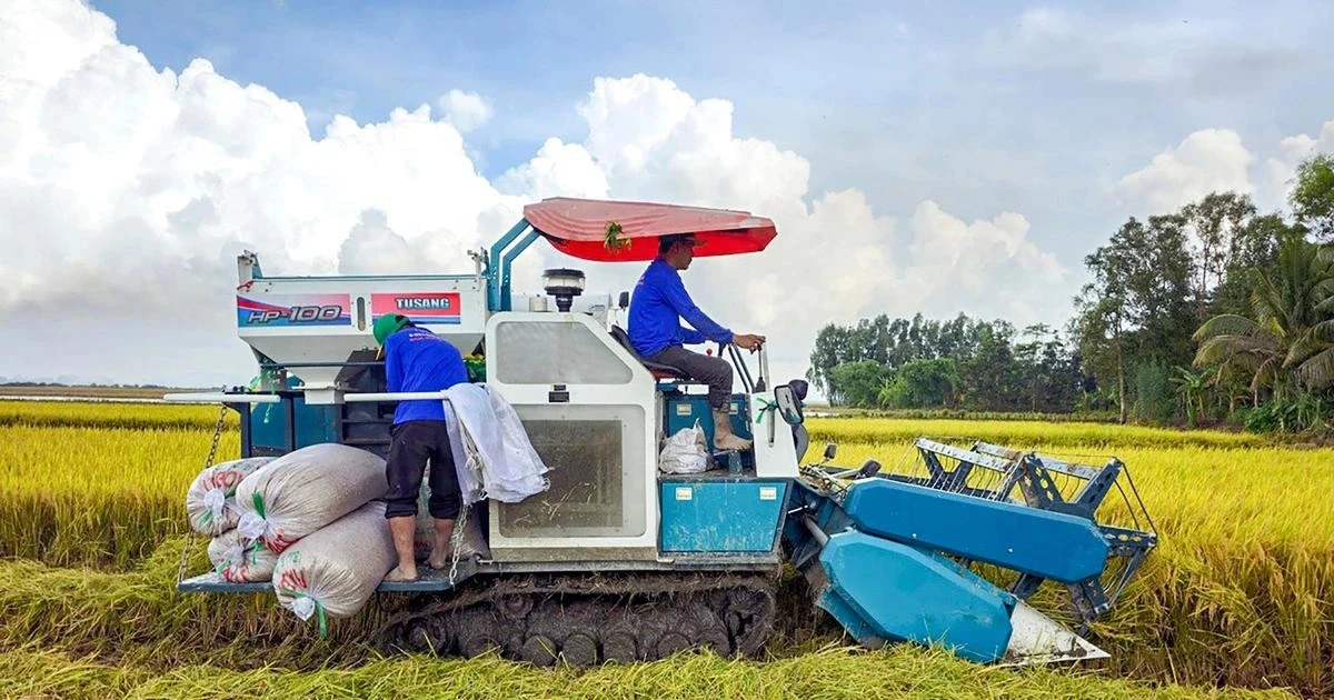 Conference looks to lure hi-tech investment in low-emission rice cultivation | Vietnam+ ...