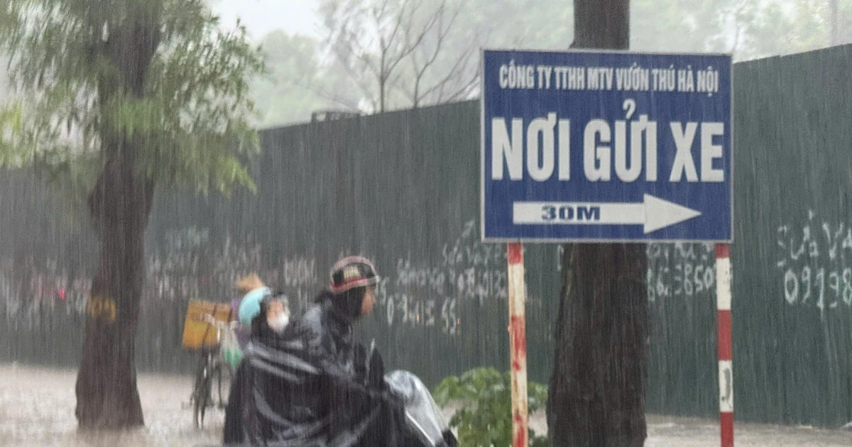 Torrential rain floods Hanoi