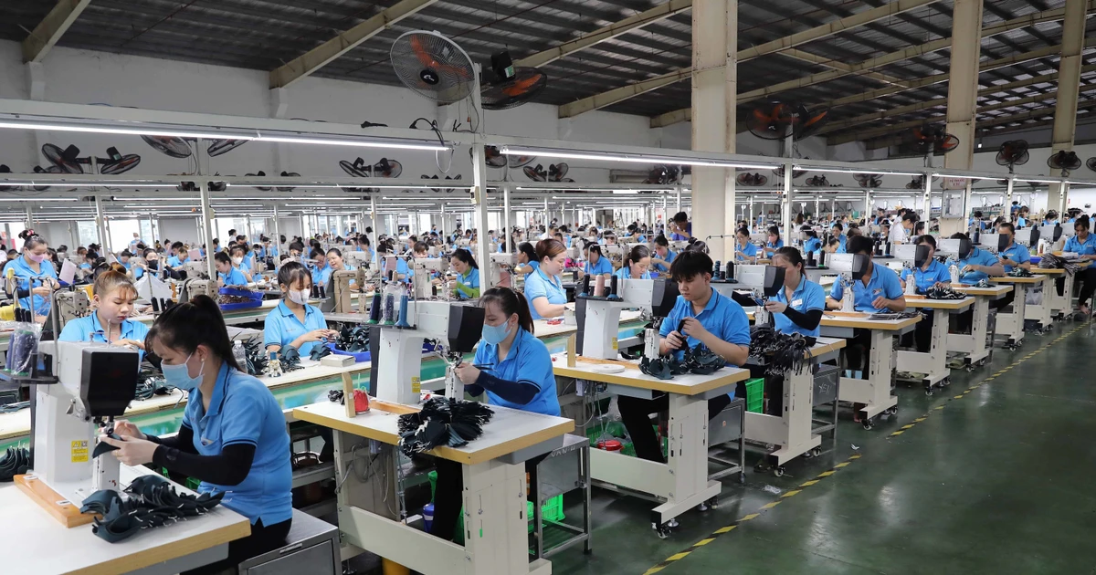 Tay Ninh province eyes FDI boost | Vietnam+ (VietnamPlus)