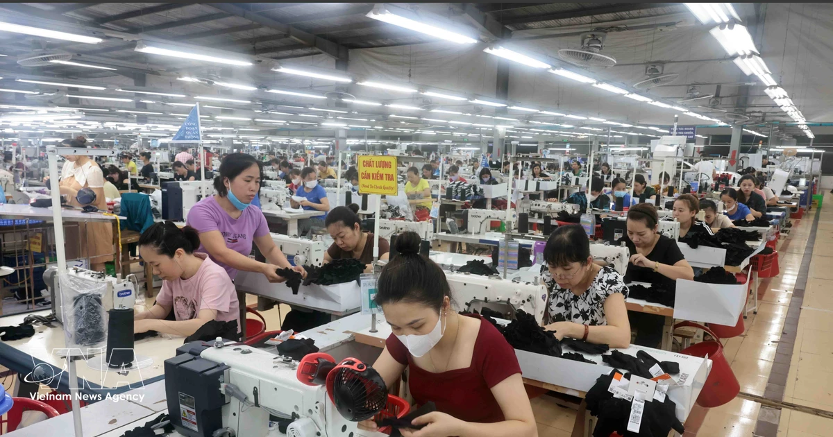 Programme aims to support 25,000 businesses, cooperatives in ...