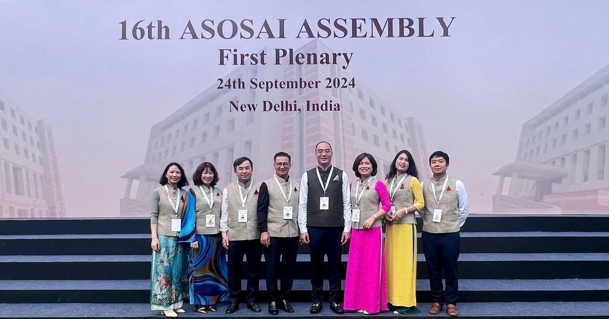 Vietnam attends 16th ASOSAI Assembly in India | Vietnam+ (VietnamPlus)
