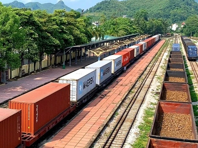 Railway launches cargo transport platform | Vietnam+ (VietnamPlus)