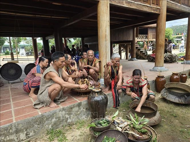 Unique rice-sowing festival of the Brau in central highlands | Vietnam+ ...