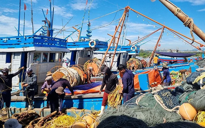 Vietnam charts vision for sustainable, modern fisheries | Vietnam+ ...