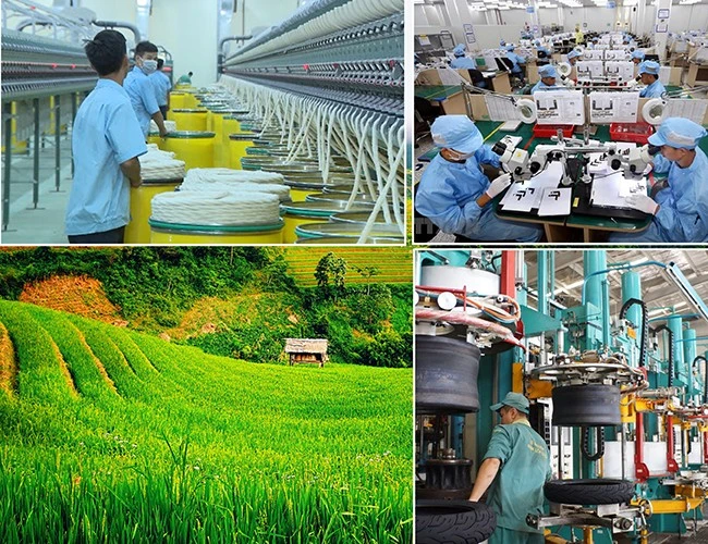 Vietnam’s green horizon: A 2025-2030 scheme for environmental industry