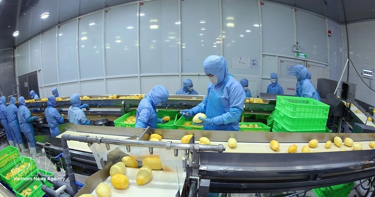 Agricultural exports seek to overcome technical barriers through ...