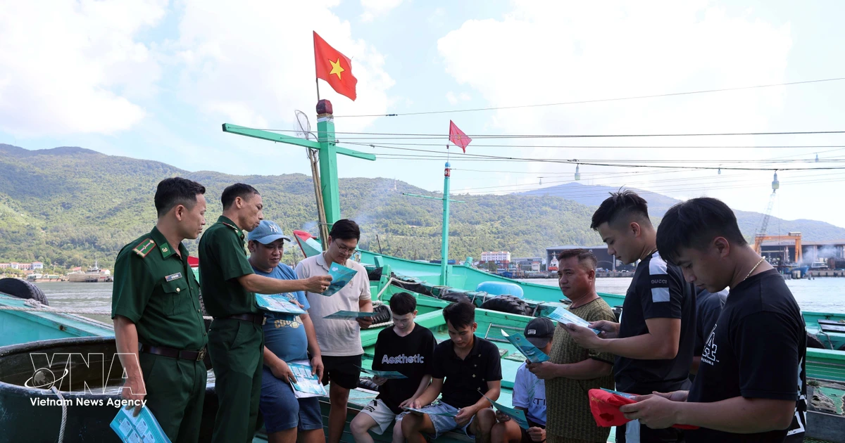 Fishermen’s associations help drive efforts to lift EC’s IUU ‘yellow card’