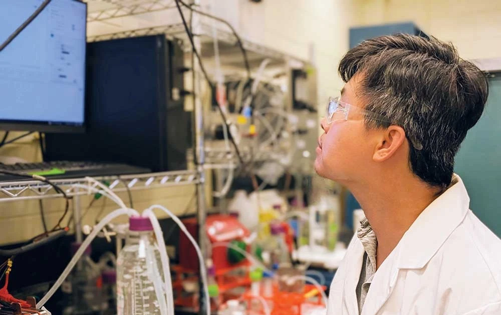 Vietnamese startup turns emissions into valuable materials | Vietnam+ ...