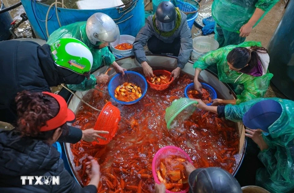 Yen So fish market more bustling on the Kitchen Gods’ Day | Vietnam+ ...
