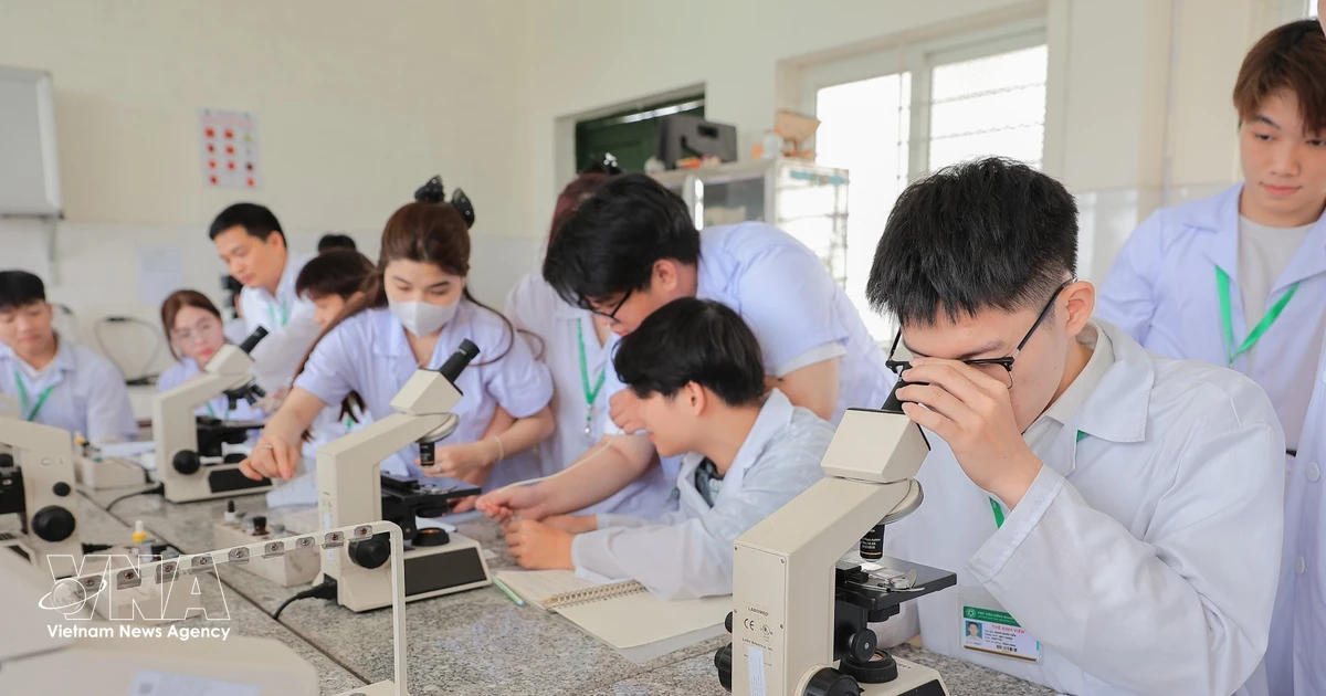 Digital capacity improvement needed for comprehensive human development