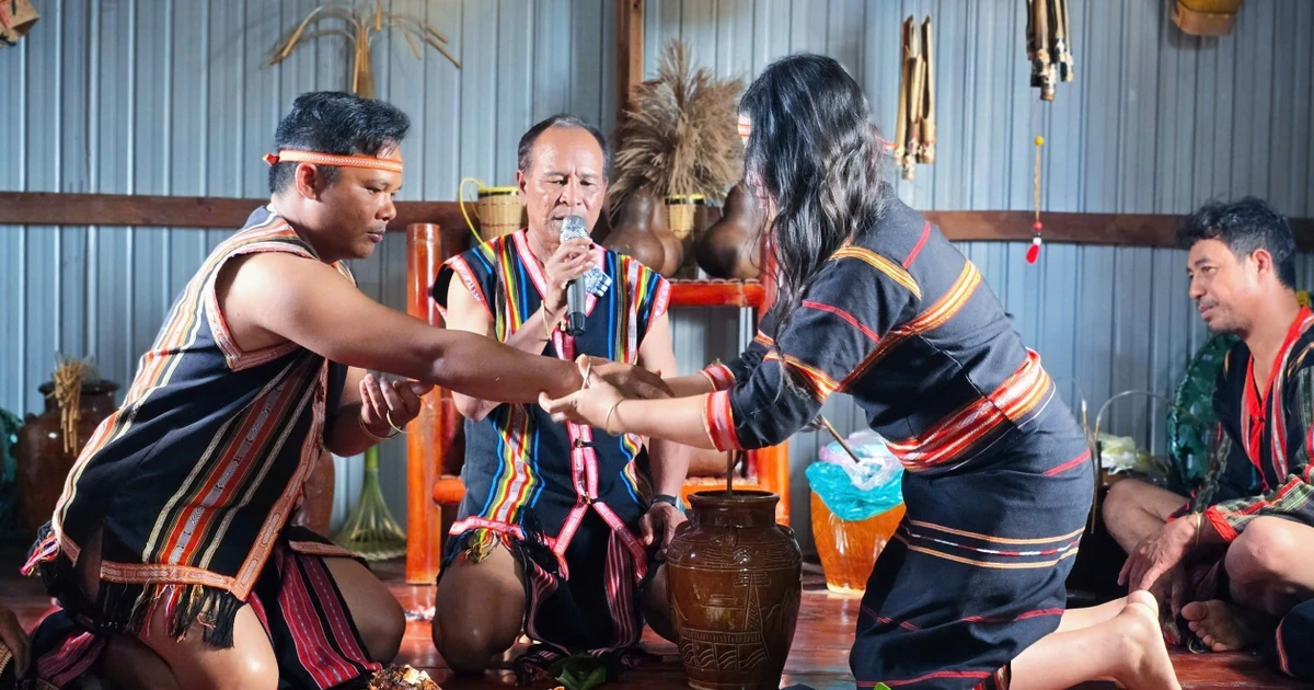 Traditional Jrai engagement ceremony re-enacted in Gia Lai | Vietnam+ ...