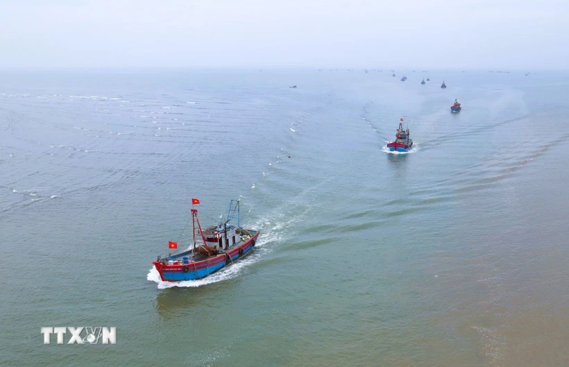 Prime Minister issues official dispatch ordering intensified crackdown on IUU fishing | Vietnam+ ...