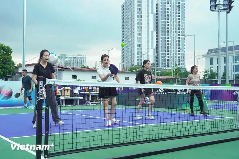 Vietnam leads Asia in pickleball development | Vietnam+ (VietnamPlus)