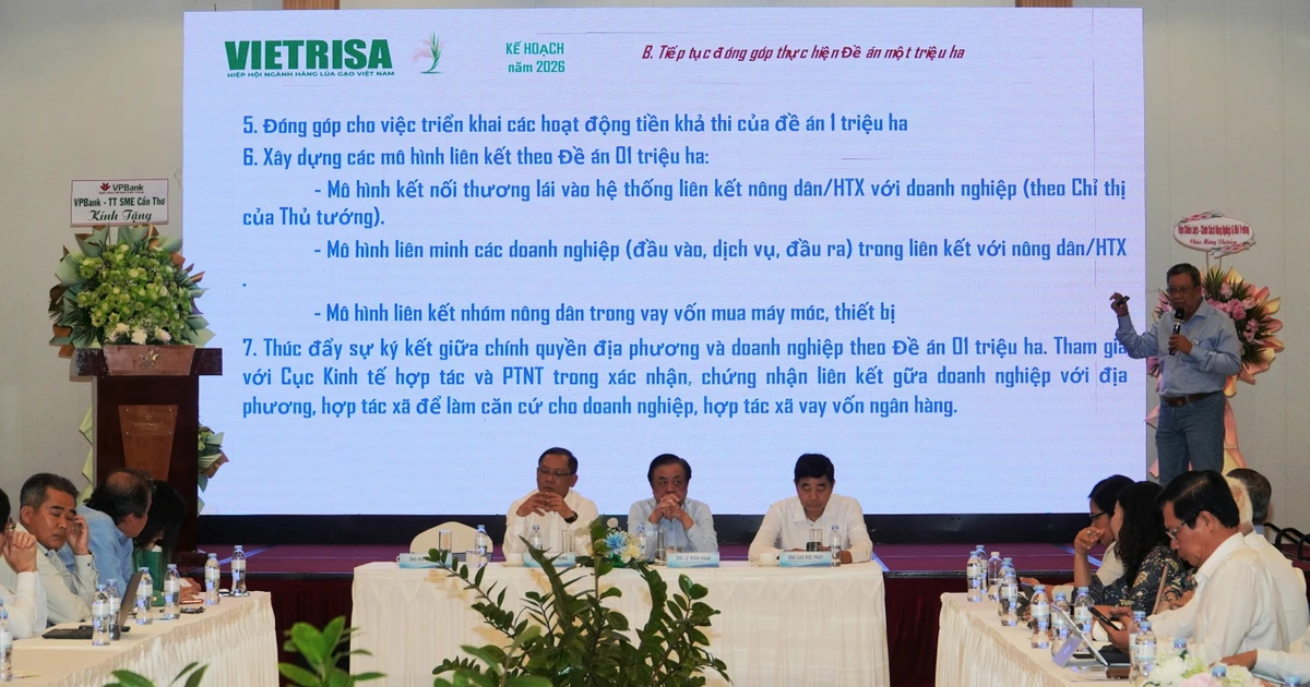 71,000 tonnes of rice get low-emission, green certification | Vietnam+ ...