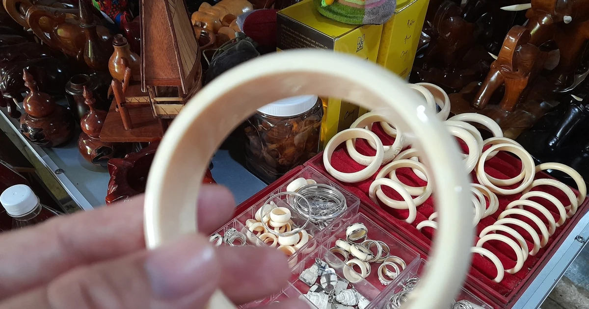 Strong solutions to ivory trade needed to save elephants from ...