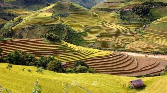 Northwestern provinces look to turn terraced fields into cultural ...