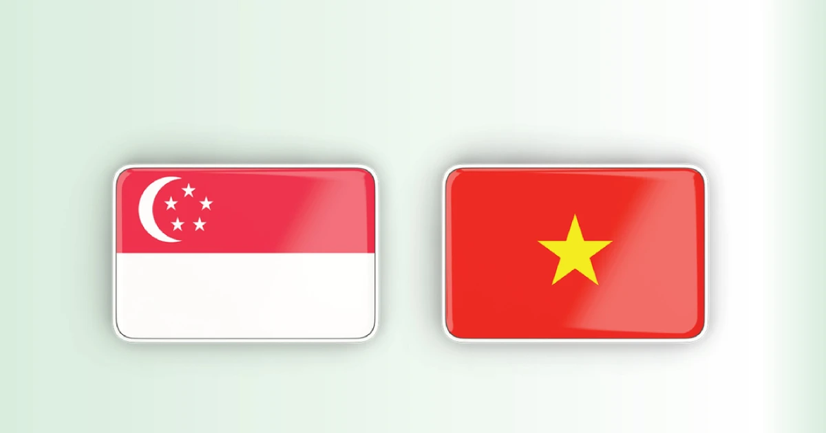 Vietnam, Singapore upgrade ties to Comprehensive Strategic Partnership | Vietnam+ (VietnamPlus)