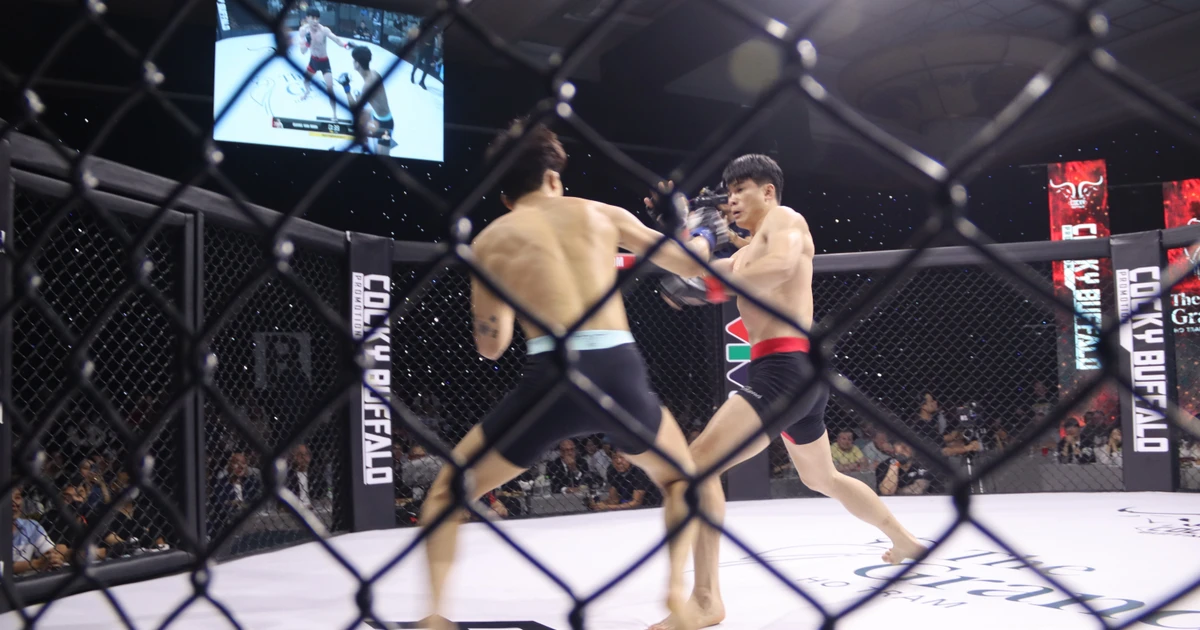 AFC 37 showdown brings top MMA fighters to Vietnam